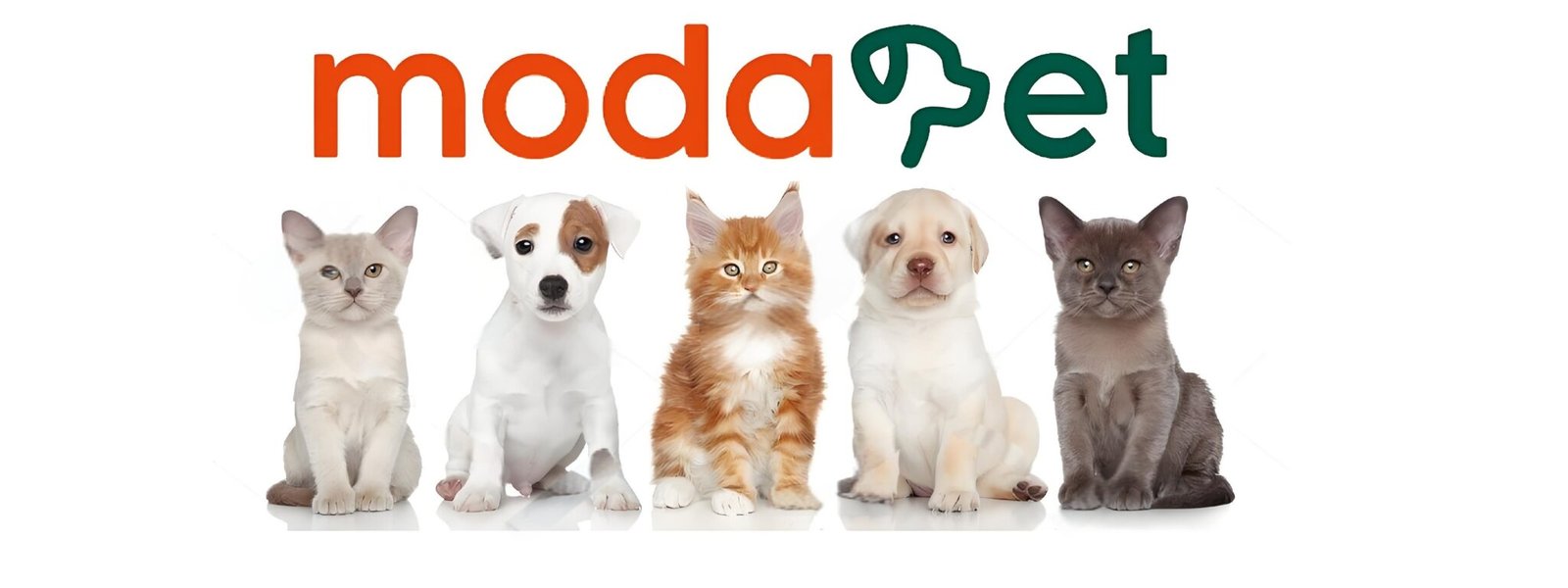 ModaPet